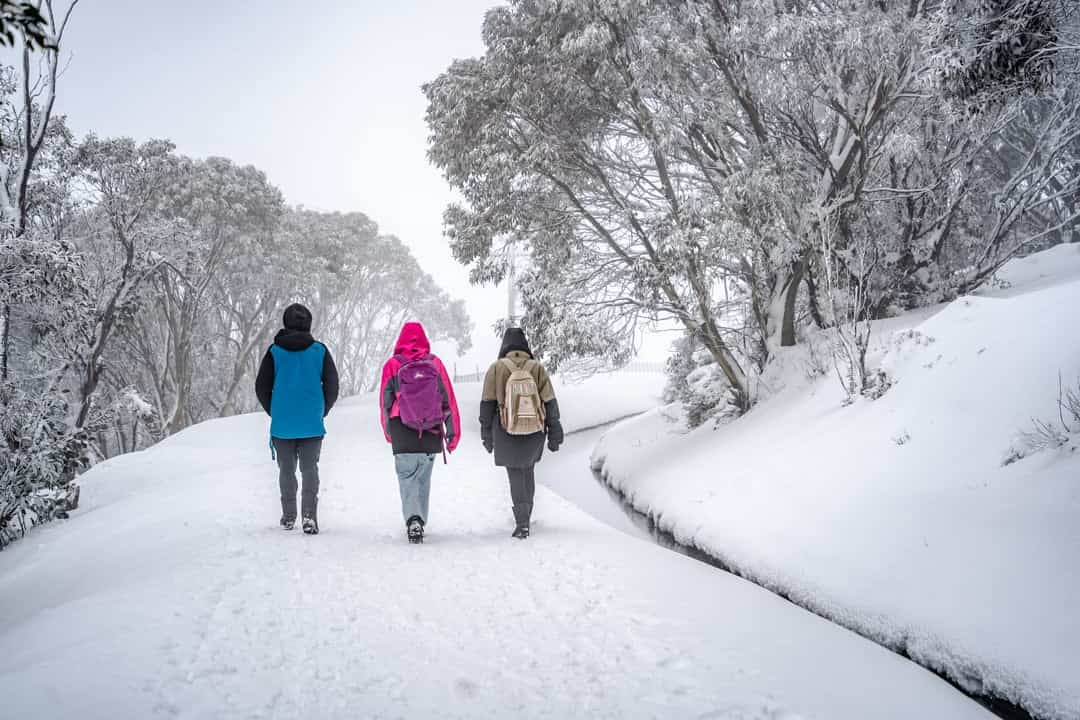 What’s the Best Time to Visit Australia – Zojir.com