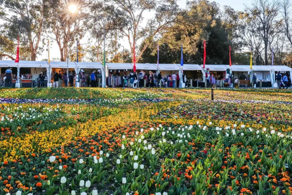 When to Visit Floriade (Canberra Flower Festival) – Zojir.com