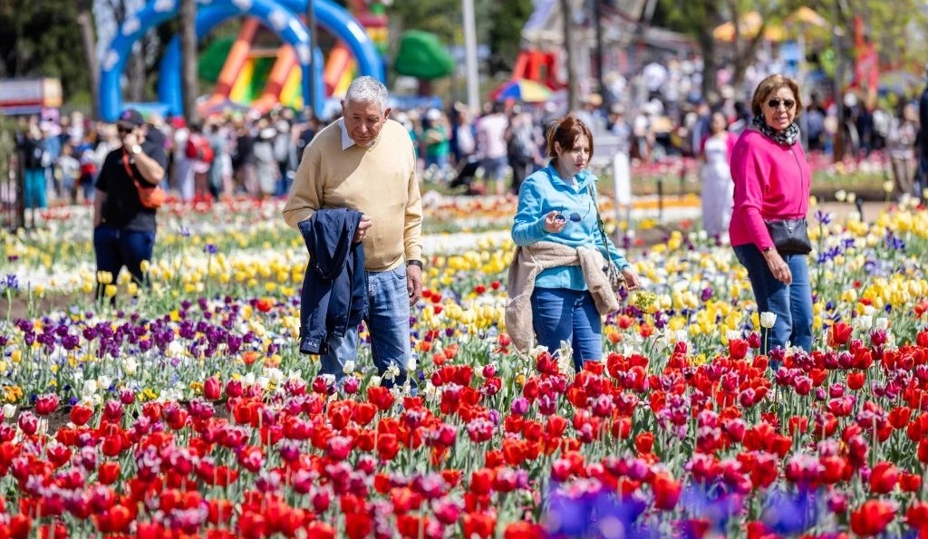 When to Visit Floriade (Canberra Flower Festival) – Zojir.com